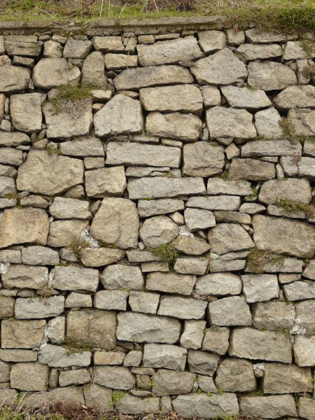 loose stone with plants 0064 - Texturelib