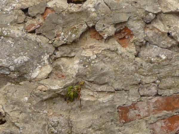 old stone wall texture 0086 - Texturelib
