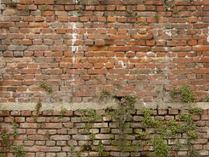 brick wall textures - Texturelib
