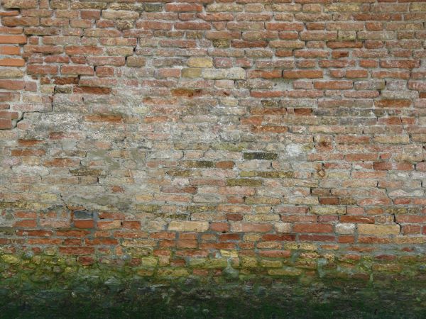 red bricks with moss texture 0056 - Texturelib