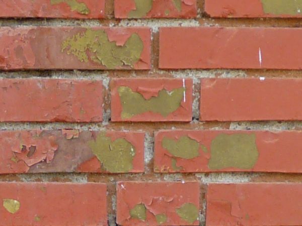 red brick texture 0078 - Texturelib