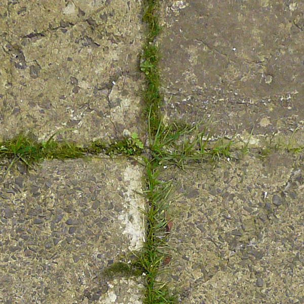 seamless square cement texture 0010 - Texturelib