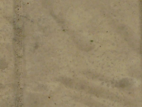 beige tile pavement texture 0016 - Texturelib