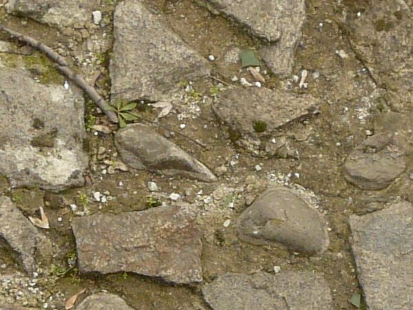 random cobblestone texture 0042 - Texturelib