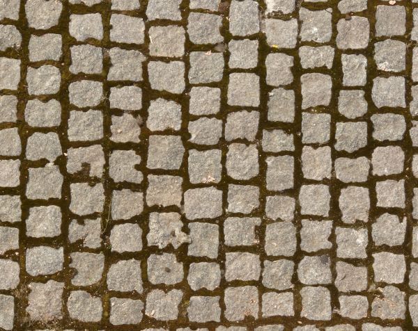 granite pavement in moss 0078 - Texturelib