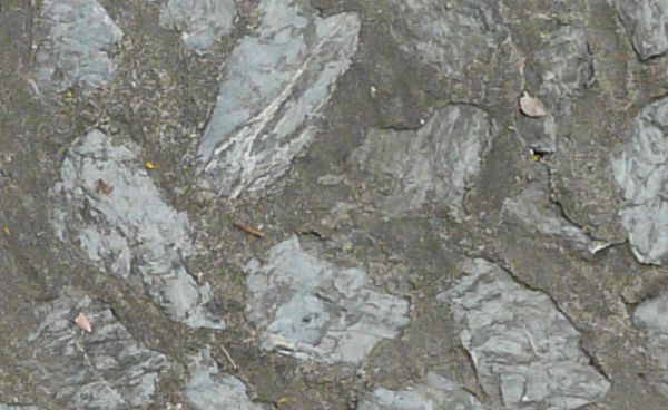 grey crazy pavement texture 0109 - Texturelib