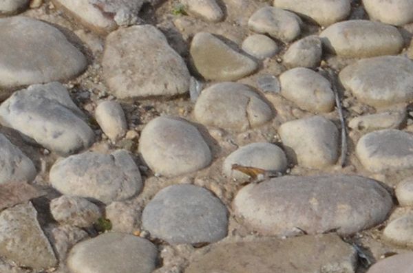 pavement texture 0119 - Texturelib