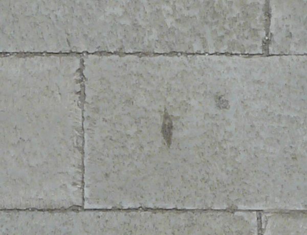 pavement texture 0133 - Texturelib