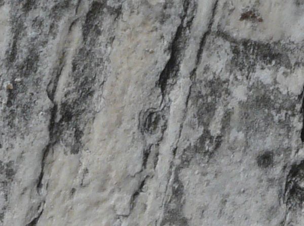 texture 0042 - Texturelib