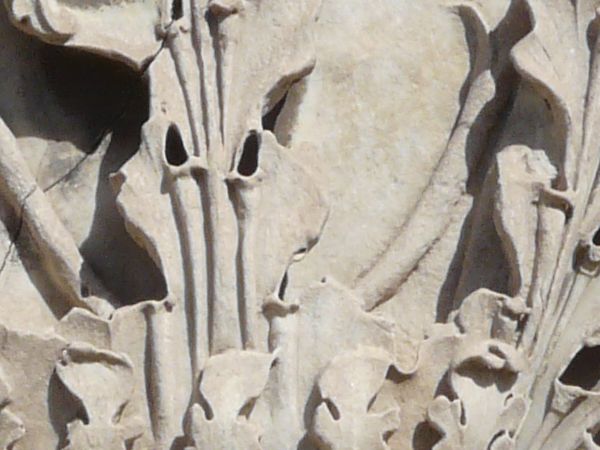 texture 0081 - Texturelib