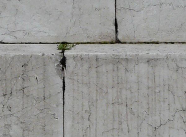 texture 0112 - Texturelib