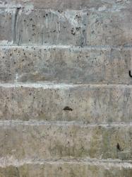 base concrete textures - Texturelib