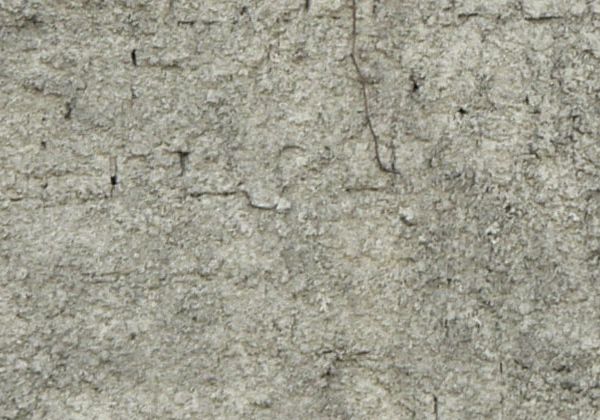 covered concrete blocks texture 0017 - Texturelib