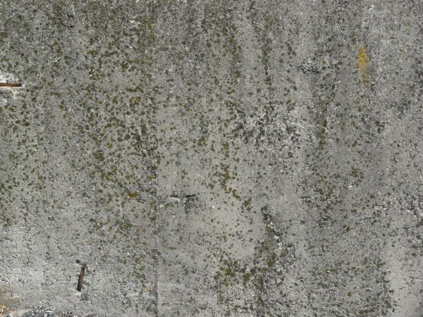 concrete base with moss 0023 - Texturelib