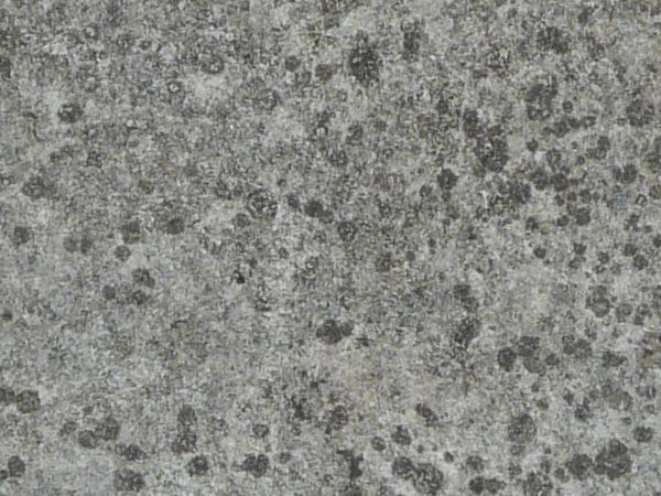 spotted concrete texture 0065 - Texturelib