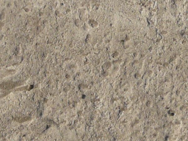 rough concrete surface 0021 - Texturelib