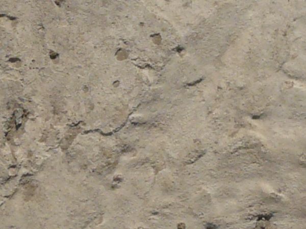 irregular beige concrete 0022 - Texturelib