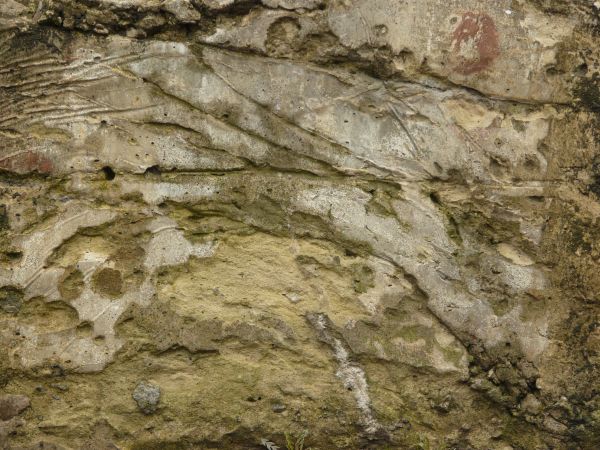 irregular concrete texture 0031 - Texturelib