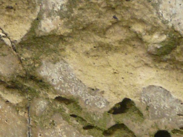 irregular concrete texture 0031 - Texturelib