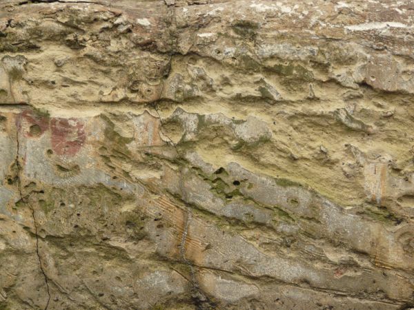 irregular concrete texture 0031 - Texturelib