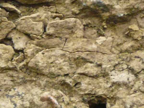 irregular concrete texture 0031 - Texturelib