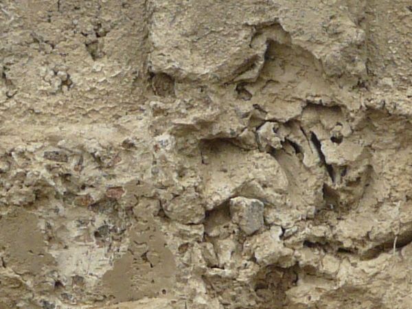 rough concrete surface 0045 - Texturelib