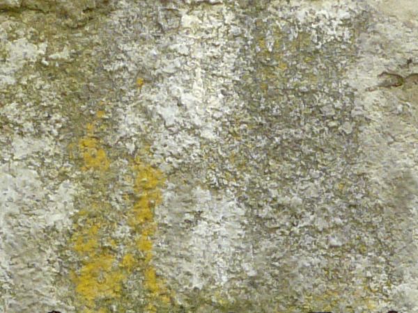 old concrete wall texture 0003 - Texturelib