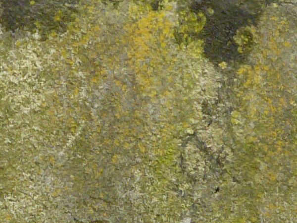 old concrete wall texture 0003 - Texturelib