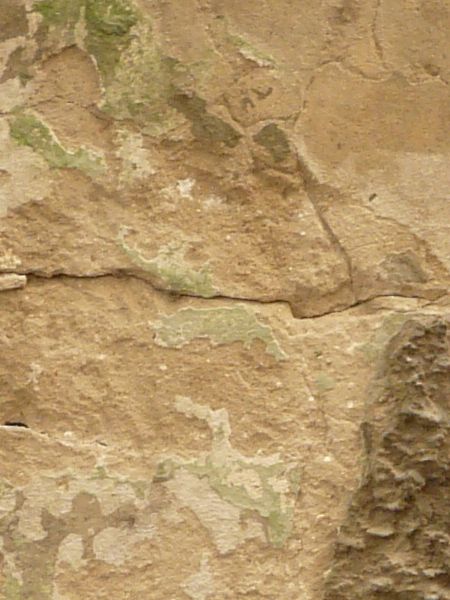 rough concrete texture 0002 - Texturelib