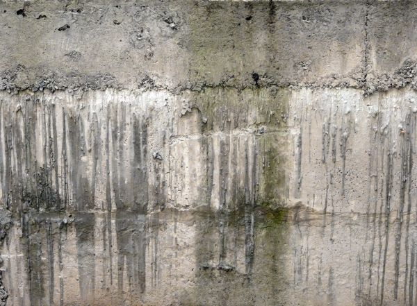 rough concrete texture 0005 - Texturelib
