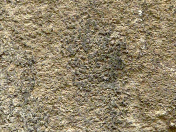 rough concrete texture 0010 - Texturelib