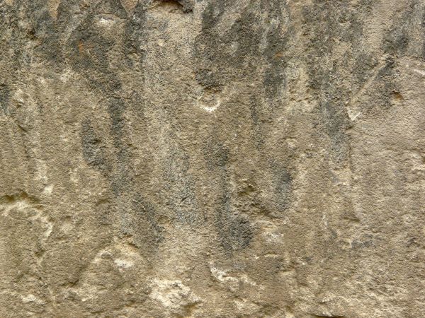 rough concrete texture 0010 - Texturelib