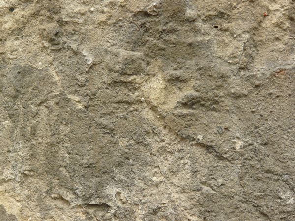 rough concrete texture 0011 - Texturelib