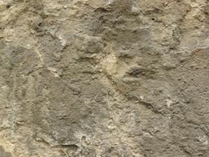 rough concrete textures - Texturelib