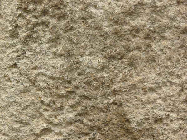 rough concrete texture 0012 - Texturelib