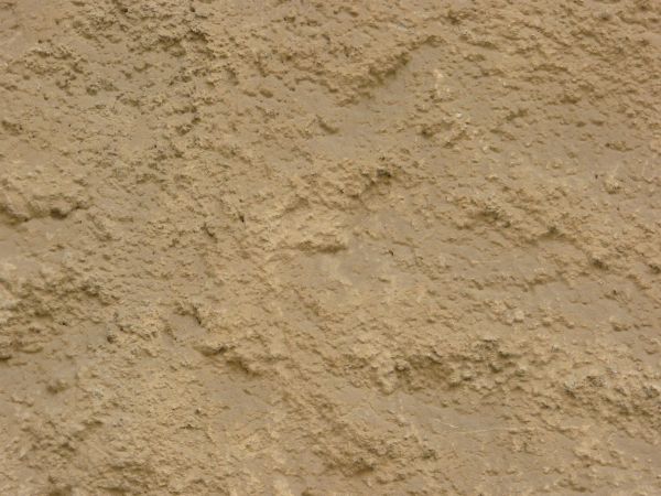 rough concrete texture 0014 - Texturelib