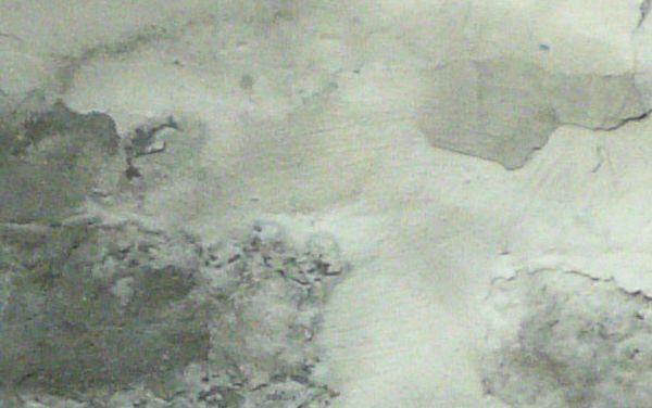 rough concrete texture 0015 - Texturelib