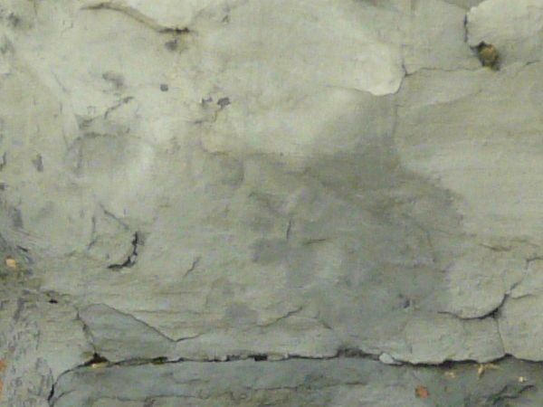 rough concrete texture 0015 - Texturelib