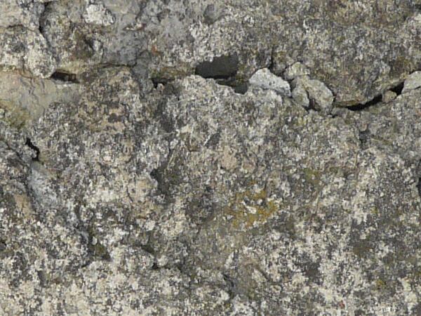 rough concrete texture 0017 - Texturelib