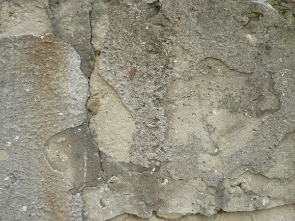 rough concrete texture 0019 - Texturelib
