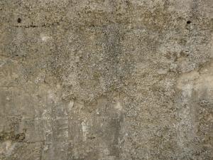 rough concrete textures - Texturelib