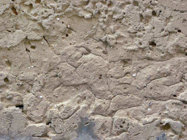 rough concrete texture 0028 - Texturelib