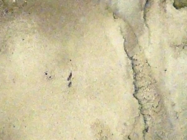 rough concrete texture 0031 - Texturelib