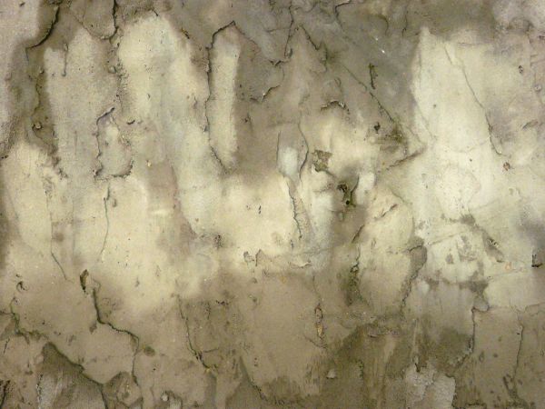 rough concrete texture 0031 - Texturelib