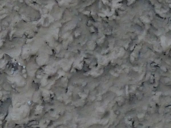 rough concrete texture 0033 - Texturelib