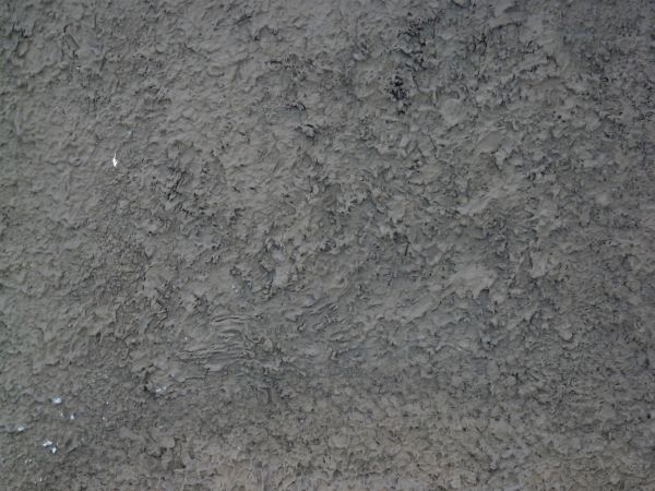 rough concrete texture 0033 - Texturelib