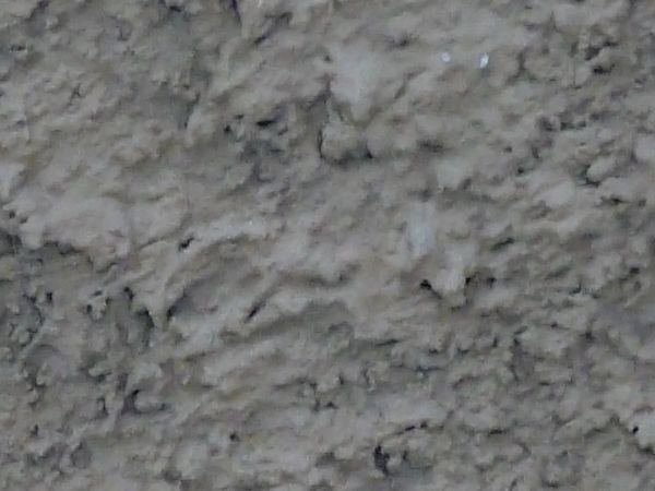 rough concrete texture 0033 - Texturelib