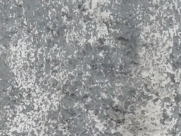 rough concrete texture 0036 - Texturelib