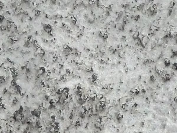 rough concrete texture 0037 - Texturelib