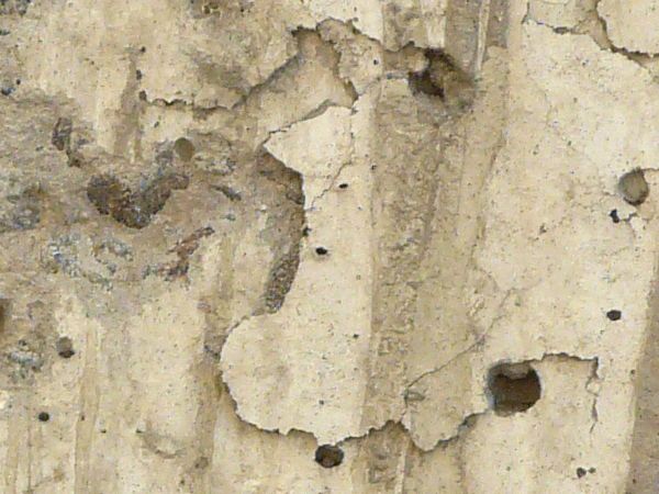 rough concrete texture 0044 - Texturelib